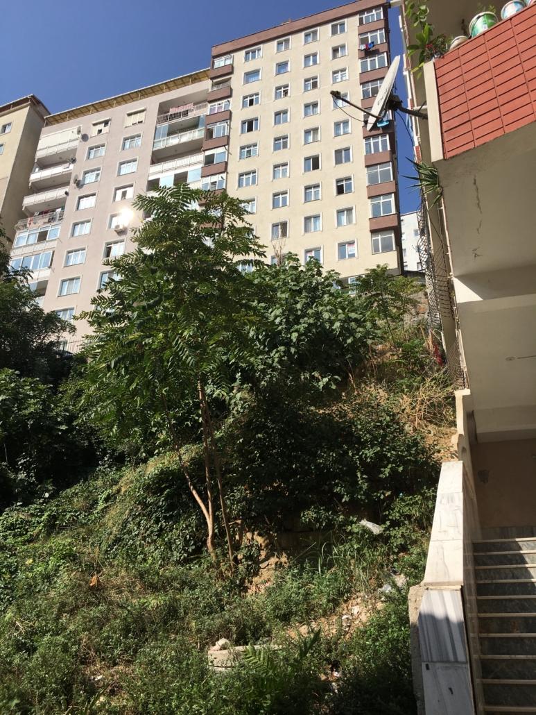 Şişli İlçesi NİP | Şehir Planlama Müdürlüğü